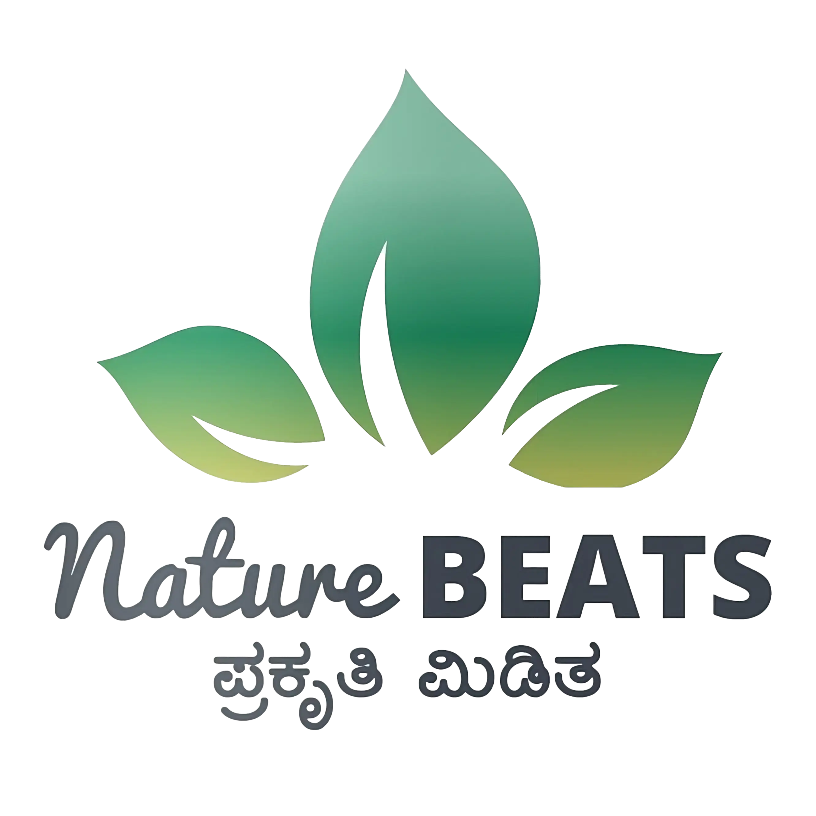 Nature Beats, Bengaluru - Order Online