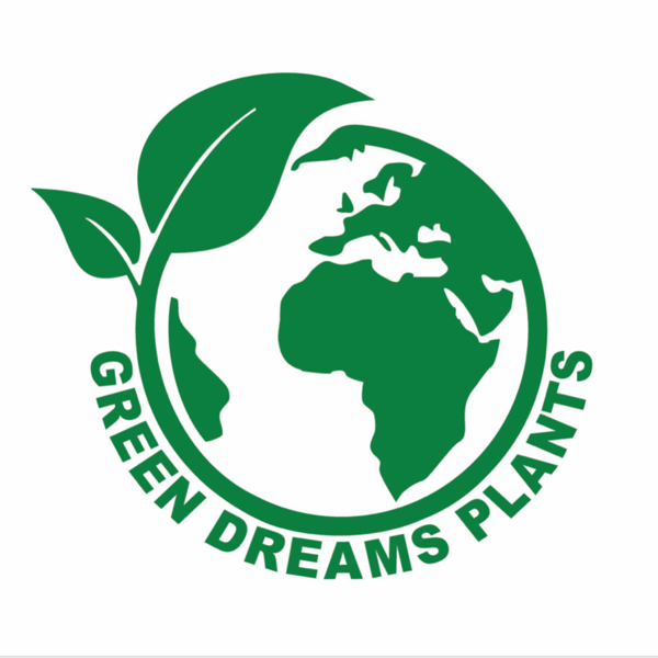 GREEN DREAMS PLANTS, KASARAGOD - Order Online
