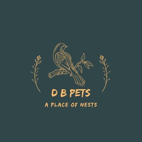DB Pet's, Chennai - Order Online