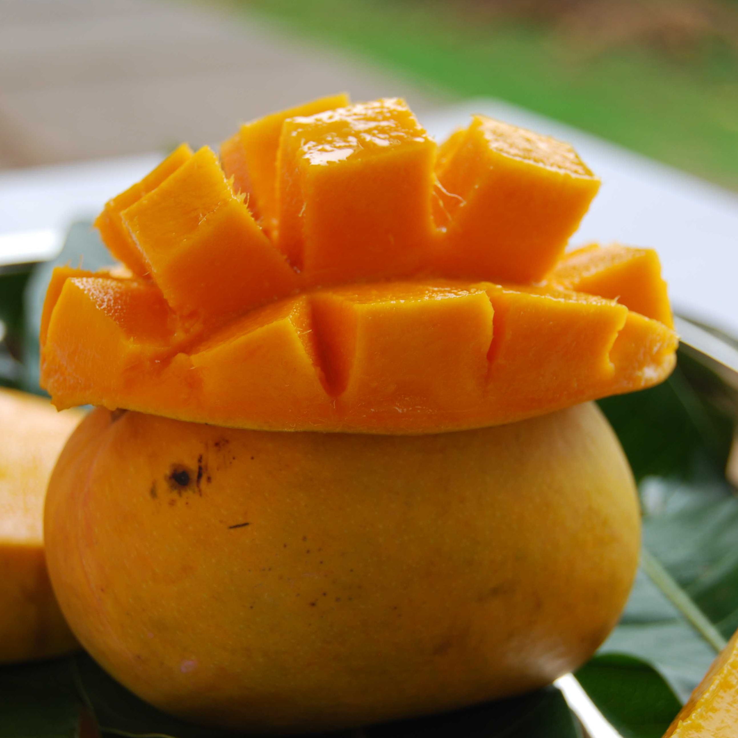 ogale foods | ogale-foods