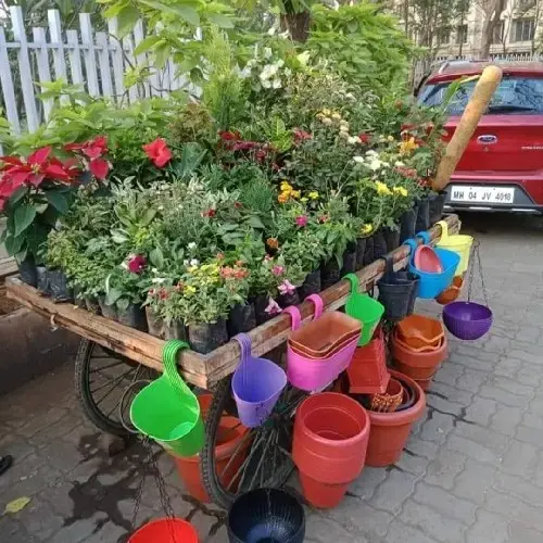 Karan Plants nursery, thane west - Order Online