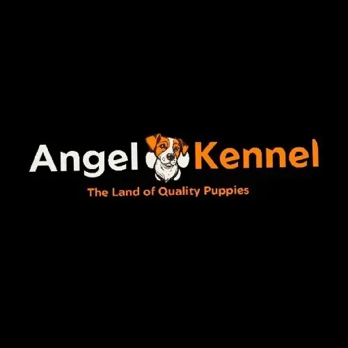 Angel Kennel, Ahmedabad - Order Online