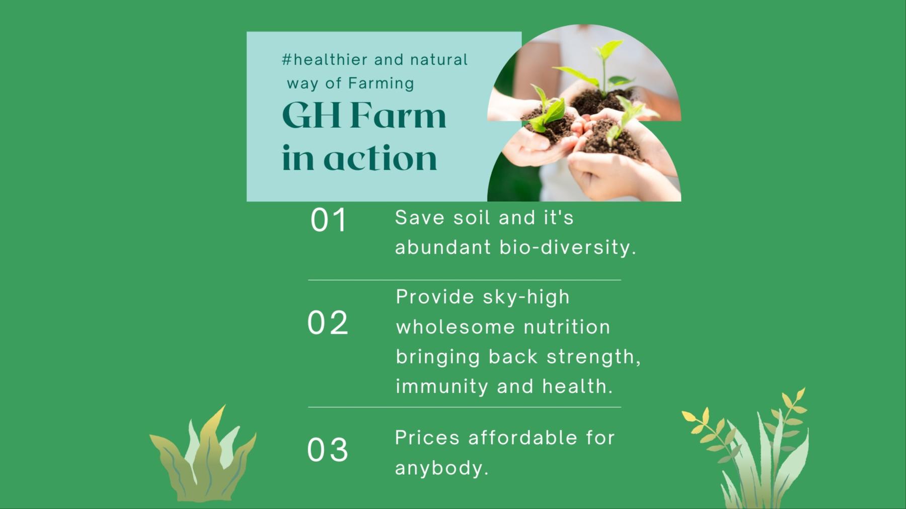 GH Farm, Chipurupalle, Vizinagaram District - Order Online