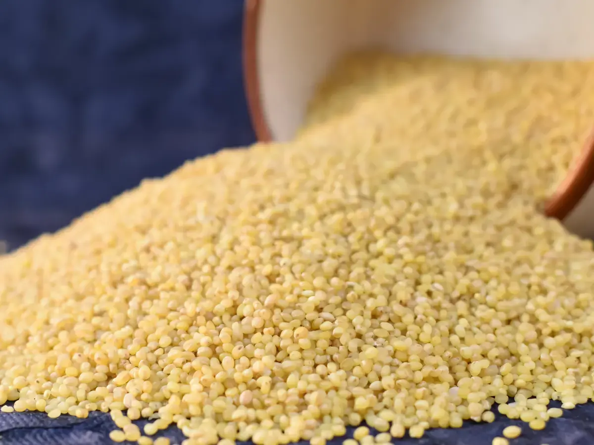 Millet Nashik Mumbai Pune | Kalsubai Millets | Nashik